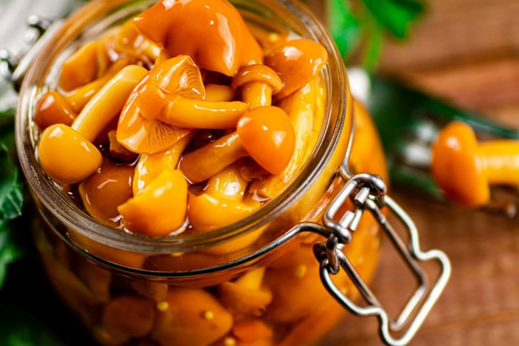 Maślaki marynowane – przepis | GłodnaPolka